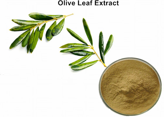 Natural Olive Leaf Extract For Kids , Organic Olive Leaf Extract Blood Pressure