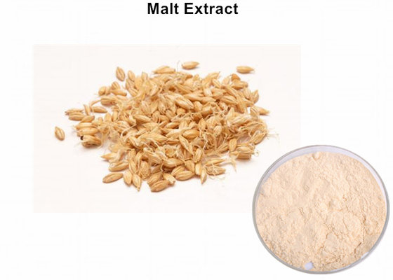 Bulk Malt Extract Plant Polysaccharides Food Grade For Natural Food Additives