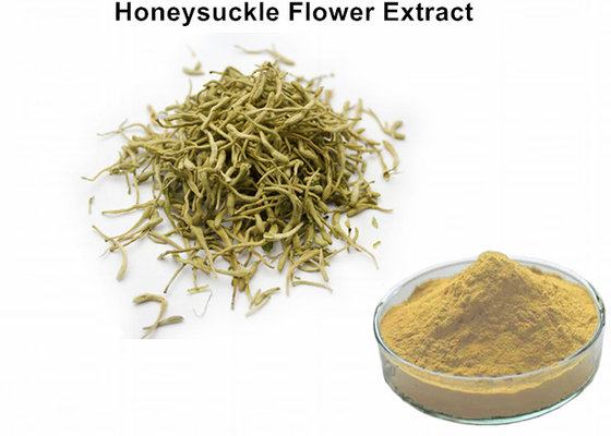 Honeysuckle Flower Plant Extract Powder With 5% Chlorogenic Acid Antibacterial Anti - Inflammatory
