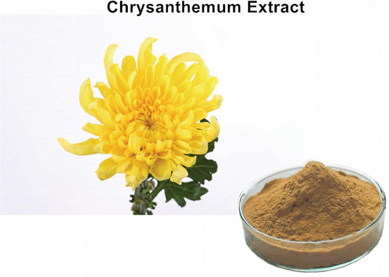 Brown Fine Chrysanthemum Tea Powder , Chrysanthemum Flower Extract Anti - Hypoxia