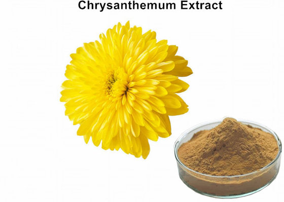 Brown Fine Chrysanthemum Tea Powder , Chrysanthemum Flower Extract Anti - Hypoxia