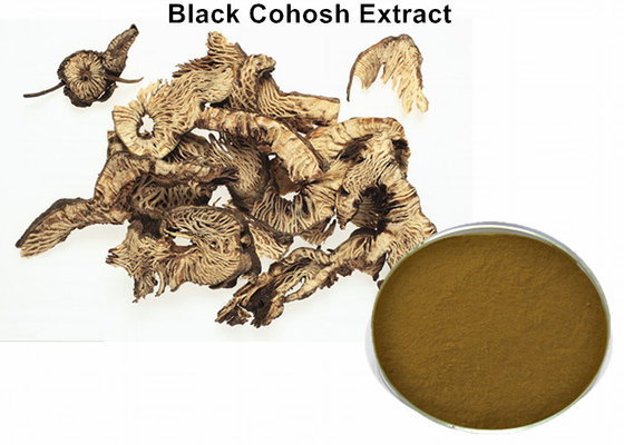 Pure Black Cohosh Root Extract For Menopause , Dark Brown Powder Natural Botanical Extracts