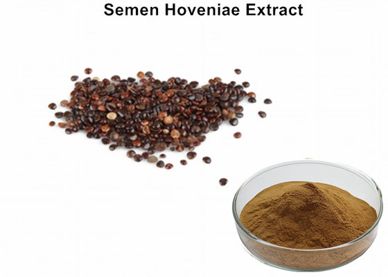 Semen Hoveniae Extract 4% Triterpenoids relieving alcoholism