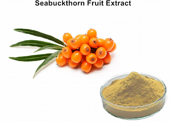 Brown Sea Buckthorn Berry Extract , Sea Buckthorn Extract Skin Care Polysaccharides Powder
