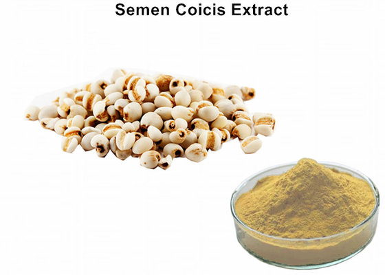 Semen Coicis Extract 0.5% Coixenolide removing acens