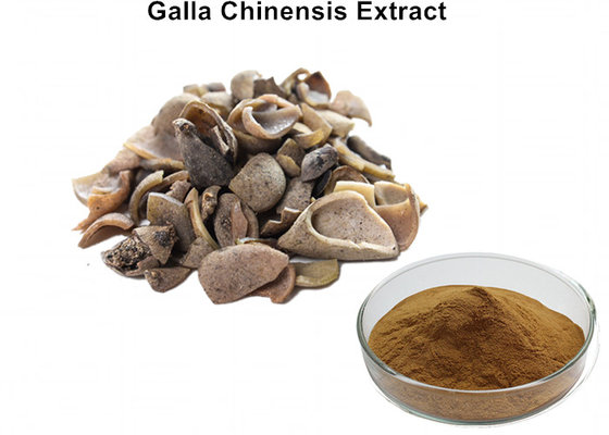 40% - 90% Ellagic Acid Powder , Health Food / Cosmetics Galla Chinensis Extract
