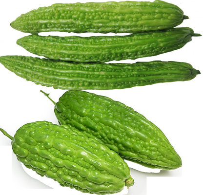 Bitter MelonPlant Extract Powder With 4% Charantin Reducing Blood Sugar No Side Effect