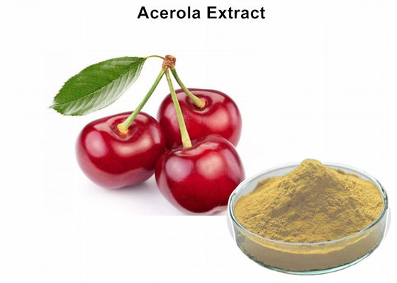Acerola Cherry Extract Powder , Acerola Fruit Extract Scavenging Free Radicals Whitening