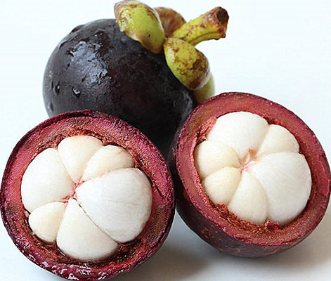 Strengthen Immunity Mangosteen Fruit Extract , 10% α-Mangostin Mangosteen Extract Powder