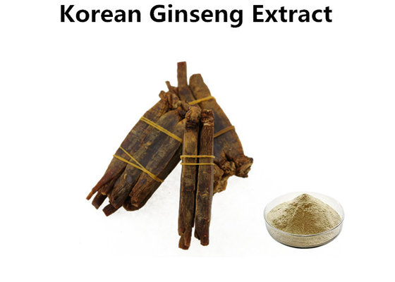 10% Ginsenosides Korean Red Ginseng Powder , Korean Red Ginseng Root Extract For Dietary