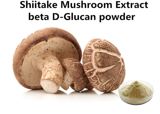 Natural Shiitake Mushroom Polysaccharides Extract Beta D-Glucan Powder Improve Immunity