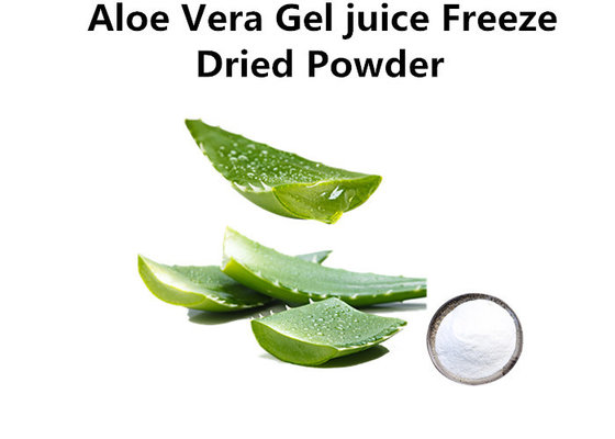 Beverages Freeze Dried Aloe Vera Powder , Aloe Vera Inner Leaf Powder Extract
