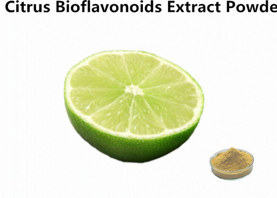 High Purity Fruit Extract Powder Natural Citrus Bioflavonoids Extract Powder