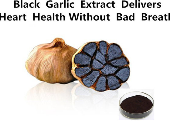Healthy Black Garlic Extract Dark brown Powder, Kyolic Aged Garlic Extract Anti-Oxidation