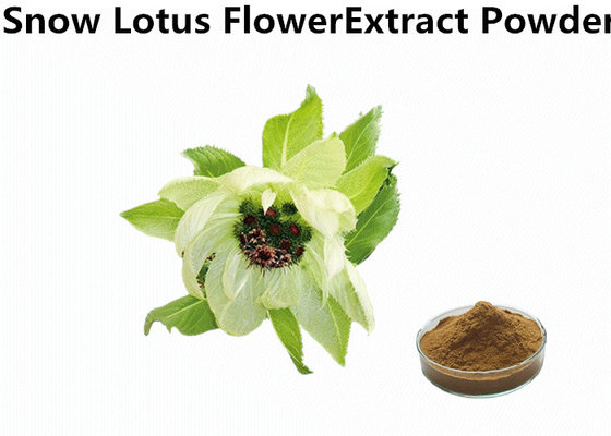 Bulk 8% Flavonoids  Snow Lotus Flower Extract Powder Used for Supplements