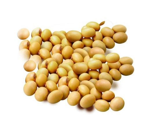 55% Protein Organic Plant Protein Powder Soybean Natural Organic Protein Powder