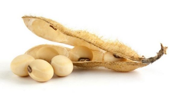 55% Protein Organic Plant Protein Powder Soybean Natural Organic Protein Powder
