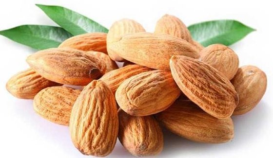 Natural Organic Plant Protein Powder Off White Almond Protein Almond Extract Powder