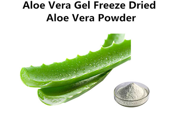 Freeze Dried Aloe Vera Extract Powder Pure White Water Soluble Concentrate