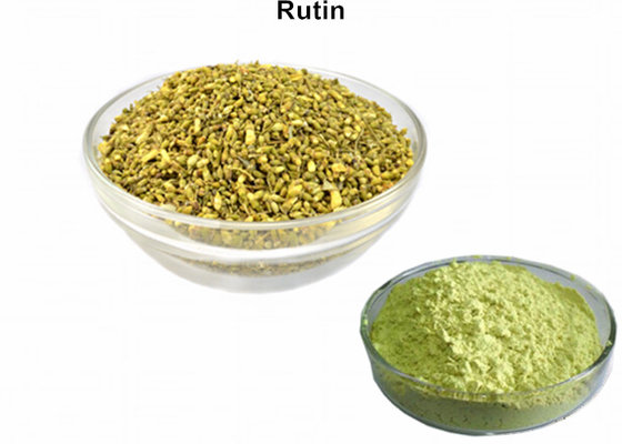 Sophora Japonica Flower Bud Monomer Powder Natural 95% Rutin Powder CAS 153 18 4