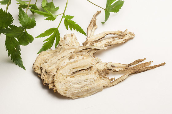 Angelica Root Extract Plant Polysaccharides Polysaccharides Promoting Blood Circulation