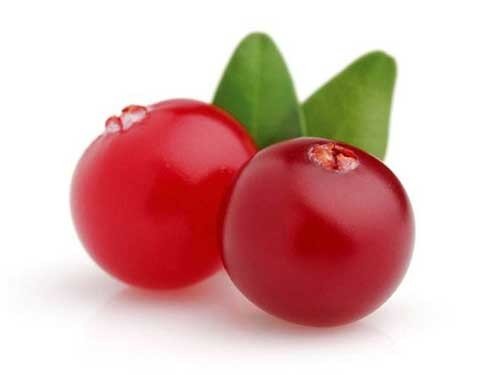 Cranberry Standardized Extract For Uti , Cranberry Juice Extract Preventing Urinary Tract Infections
