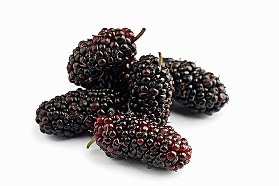 Mulberry Fruit Extract Anthocyanin Extract Powder Improving Reproductive Health