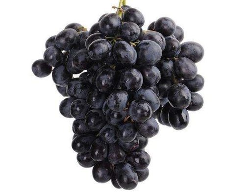 Natural Blackcurrant  Anthocyanin Extract Powder UV Improving Immunity Non - GMO
