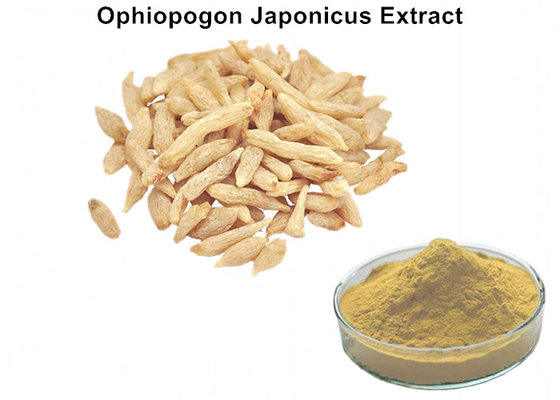 UV Anti - Fatigue Plant Polysaccharides Powder Ophiopogon Japonicus Root Extract