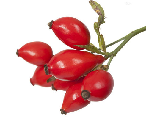 Anti Aging Fruit Extract Powder Anti Inflammatory Rosehip Extract Poplyphenols