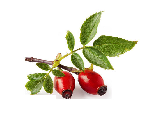 Anti Aging Fruit Extract Powder Anti Inflammatory Rosehip Extract Poplyphenols