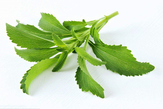 80% Glucosyl Stevioside Organic Herbal Extracts , White Powder Stevia Leaf Extract No Bitterness