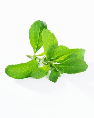 Stevia Leaf Extract Natural Sweetener Powder White 50% Rebaudioside A Lowering Pressure