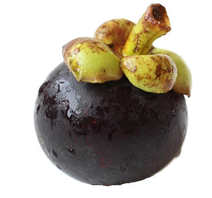 100% Pure Natural Mangosteen Fruit Juice Powder Good Solubility Healing Burns And Scalds