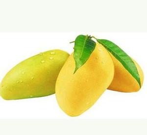 Light Yellow Organic Mango Juice Powder , Food Grade Raw Mango Drink Powder Nutrition