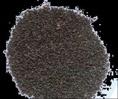 Peganum Harmala Extract Monomer Powder Natural 98% Harmine Powder 442 51 3