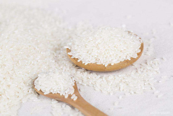Rice Natural Plant Based Protein Powder , 50% Protein Certified Organic Protein Powder