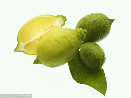 High Purity Fruit Extract Powder Natural Citrus Bioflavonoids Extract Powder