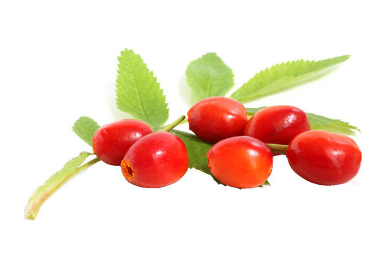 Max 5% Moisture Fruit Extract Powder Brown Fine  Bulk Rosehip Extract Powder