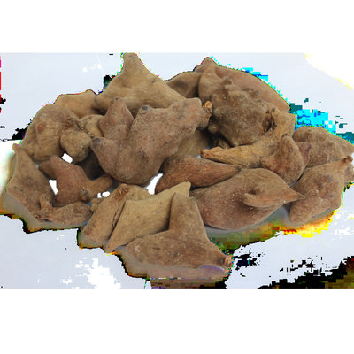 40% - 90% Ellagic Acid Powder , Health Food / Cosmetics Galla Chinensis Extract