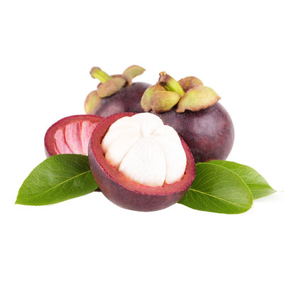 Strengthen Immunity Mangosteen Fruit Extract , 10% α-Mangostin Mangosteen Extract Powder