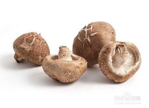 Natural Shiitake Mushroom Polysaccharides Extract Beta D-Glucan Powder Improve Immunity