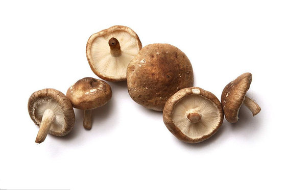 Natural Shiitake Mushroom Polysaccharides Extract Beta D-Glucan Powder Improve Immunity