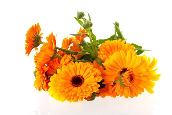 Eye Protection Natural Food Coloring Powder , 5% Marigold Flower Extract  Zeaxanthin Powder