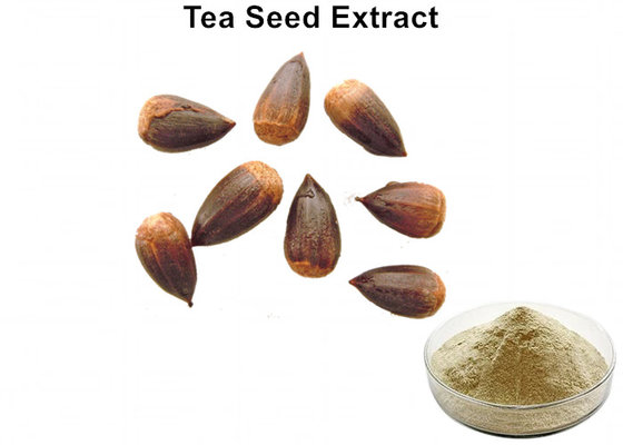 Tea Saponin Powder For Surfactant , Light Yellow Pure Natural Plant Extractspowder