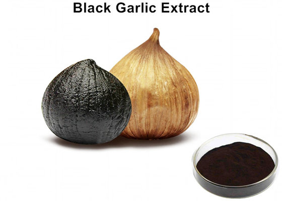 Healthy Black Garlic Extract Dark brown Powder, Kyolic Aged Garlic Extract Anti-Oxidation