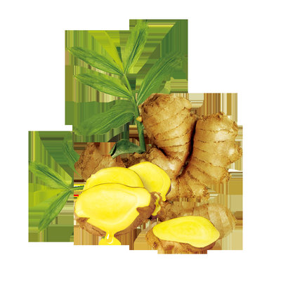 Water Soluble 1% Gingerols Ginger Root Extract Powder in Bulk for Drink and Supplements
