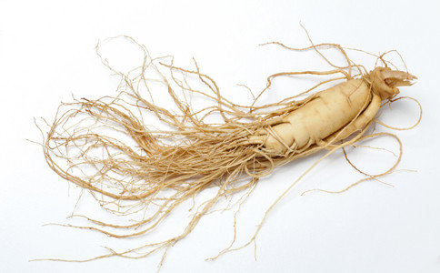 5% Ginsenosides Panax Ginseng Root Extract powder Anti-fatigue