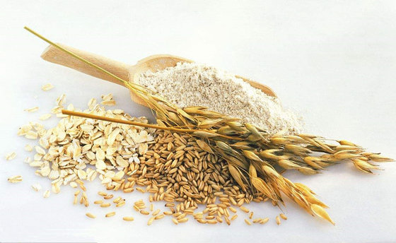 Natural Oat Extract Plant Polysaccharides Beta - Glucan Derived Prevent And Control Obesity