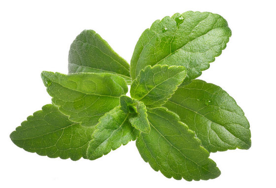 Zero Calorie Natural Sweetener Powder 95% Total Steviol Glycosides Stevia Leaf Extract Powder